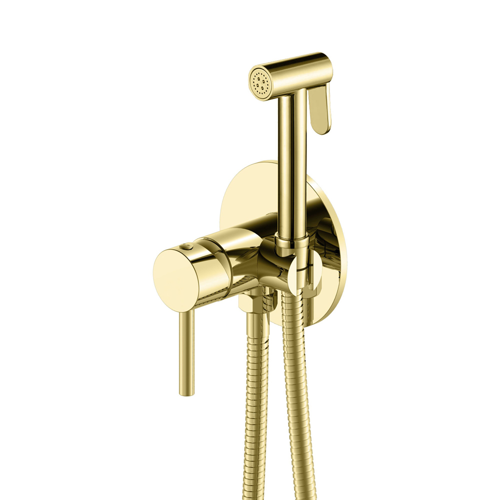 Brushed Brass Shattaf Douche Mixer Set - DS1BB | Bathroom House